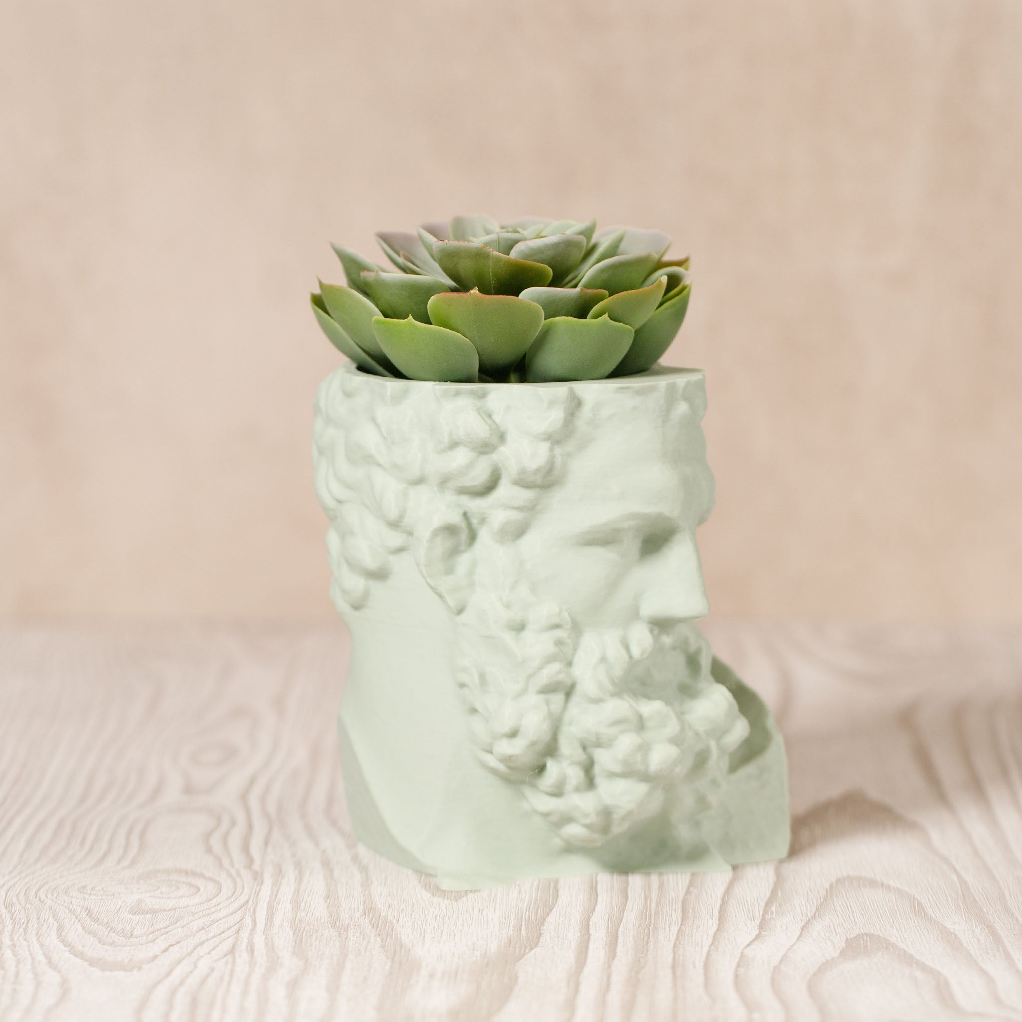 Hercules' Strength: Eco-friendly Greek Mythology Inspired Head Planter ...