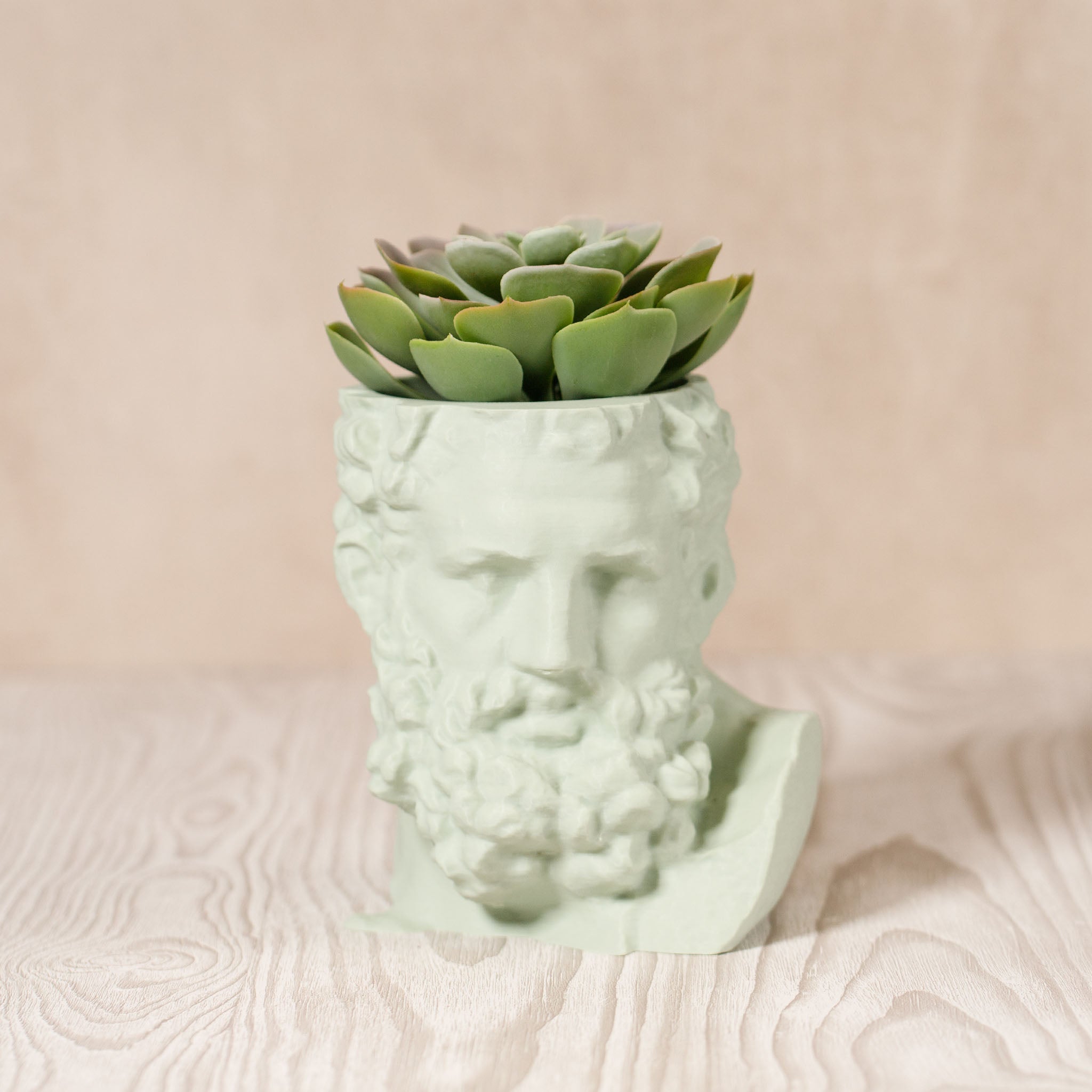 Hercules' Strength: Eco-friendly Greek Mythology Inspired Head Planter ...